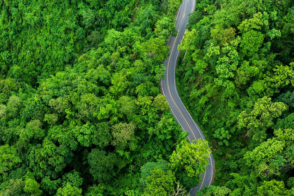 Go Green with Polam - Polam Federal Credit Union